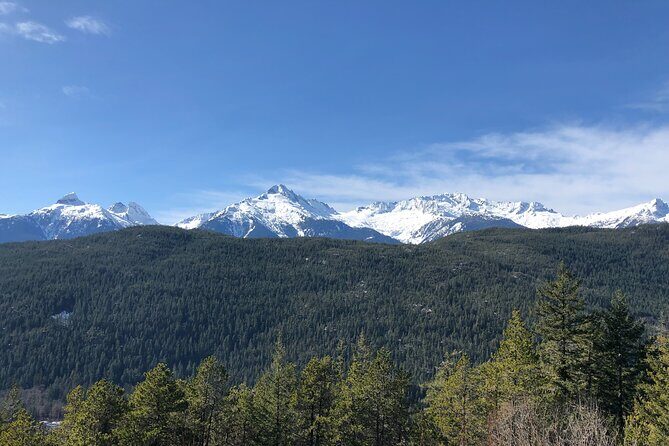 Whistler and Sea to Sky Gondola, a Fire and Ice Discovery Tour - The Practicalities: Comfort, Timing, and Value