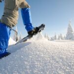 Whistler: Backcountry Snowshoeing Tour with Guide - The Experience: Practical Details and What to Expect