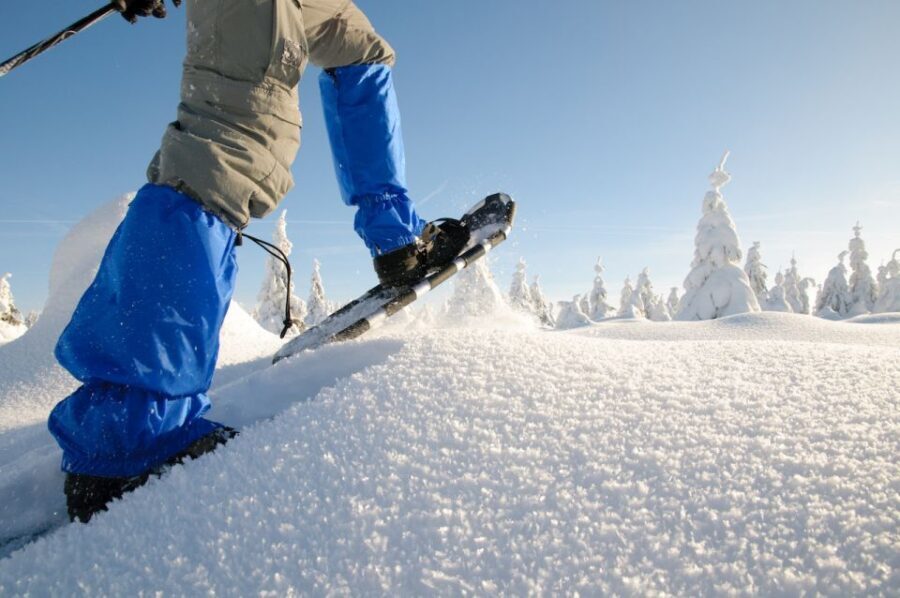 Whistler: Backcountry Snowshoeing Tour with Guide - The Experience: Practical Details and What to Expect