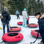 Whistler winter adventure tour - The Practical Side: Transportation, Pricing, and Value