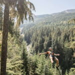 Whistler Zipline Experience: Ziptrek Bear Tour - Price, Value, and Who Should Consider It