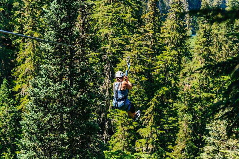 Whistler: Ziplining Experience - Value for Money