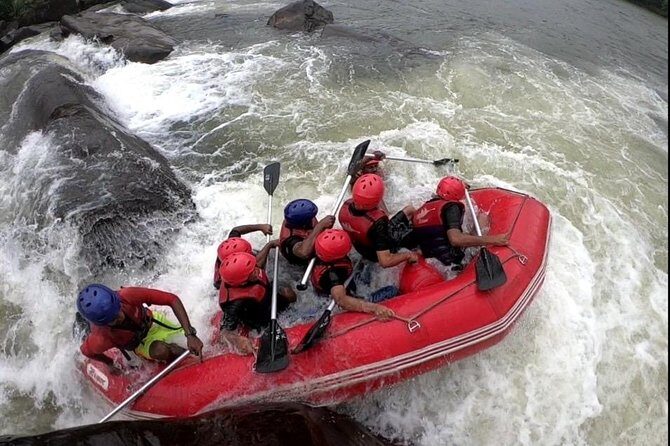 white water rafting tour - Analyzing the Experience: What to Expect