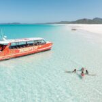 Whitehaven Beach and Hill Inlet Lookout Snorkeling Cruise - The Value and Why It Works