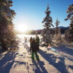 Whitehorse: Half-Day Snowshoeing Tour - The Itinerary in Detail