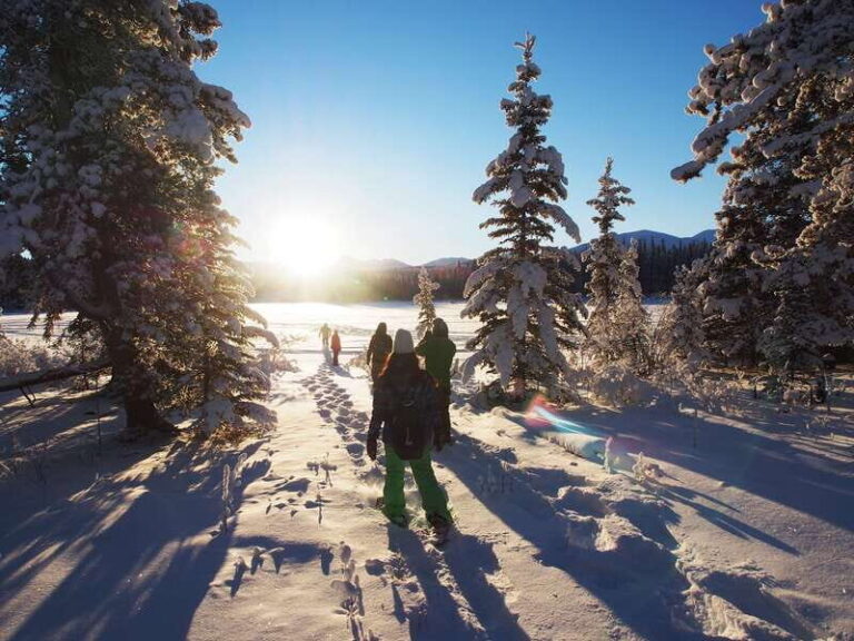 Whitehorse: Half-Day Snowshoeing Tour - The Itinerary in Detail