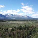 Whitehorse: Kluane - Wildlife & Vistas - Wildlife Encounters and Scenic Stops