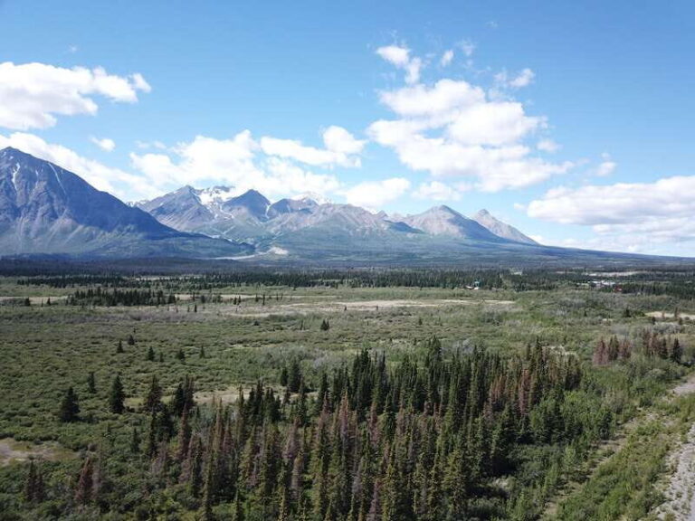 Whitehorse: Kluane - Wildlife & Vistas - Wildlife Encounters and Scenic Stops