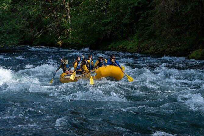 Whitewater Rafting on The McKenzie River - What to Expect: The Day Unfolded