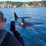 Whitianga: 2-Hour Cathedral Cove and Volcanic Coast Cruise - Key Highlights of This Cruise