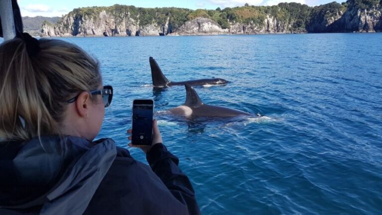 Whitianga: 2-Hour Cathedral Cove and Volcanic Coast Cruise - Key Highlights of This Cruise