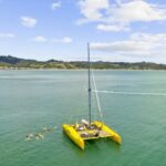 Whitianga: Sailing Trip to Cathedral Cove - The Cost and Value: Is It Worth It?