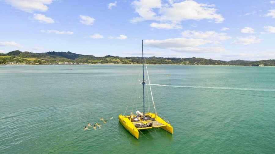 Whitianga: Sailing Trip to Cathedral Cove - The Cost and Value: Is It Worth It?