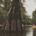 Whitney Plantation and Manchac Swamp Kayak Tour Combo - What the Experience Means for You