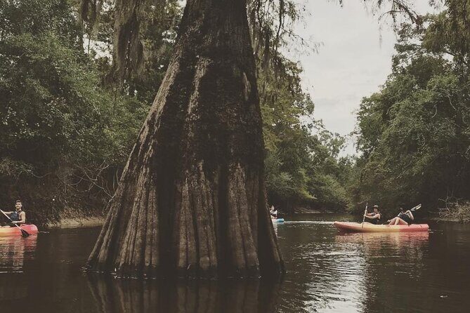 Whitney Plantation and Manchac Swamp Kayak Tour Combo - What the Experience Means for You