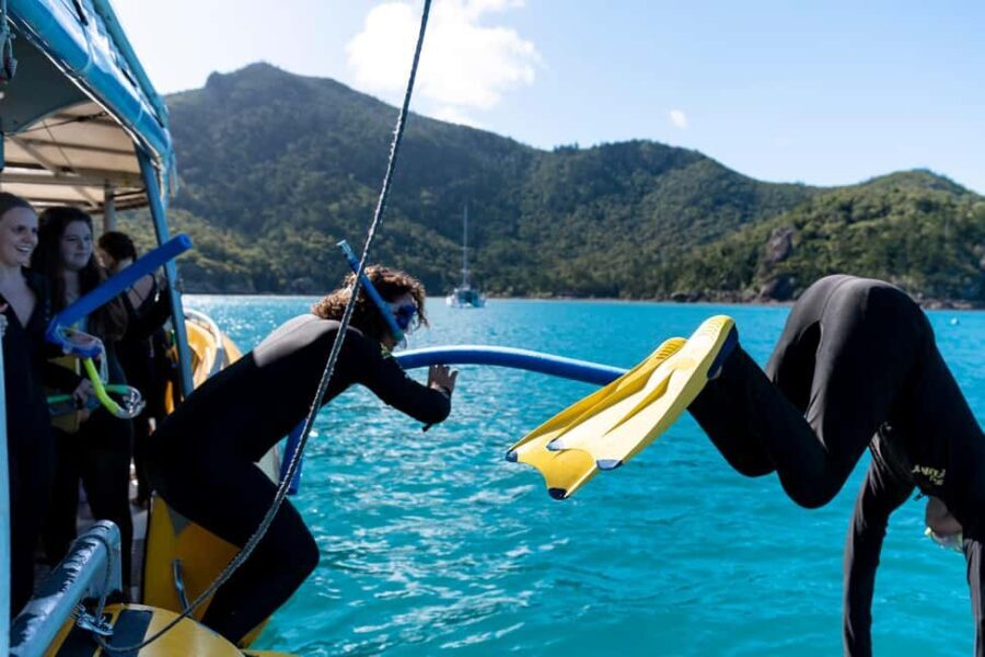 Whitsundays: 2 days 1 night Sailing, Snorkeling, Whitehaven - The Value of This Tour
