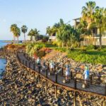 Whitsundays Segway Sunset and Boardwalk Tour with Dinner - Practical Details and Tips