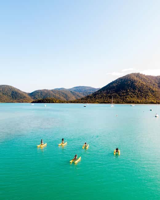 Whitsundays: Water Bike Eco-Tour with Guide - The Coral Gardens and Mangroves