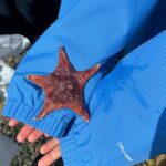 Whytecliff Park Indigenous Salish Sea Walking Tour - The Itinerary in Detail