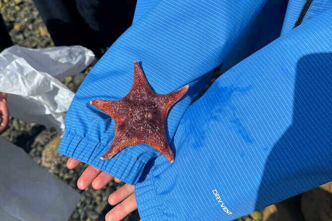 Whytecliff Park Indigenous Salish Sea Walking Tour - The Itinerary in Detail