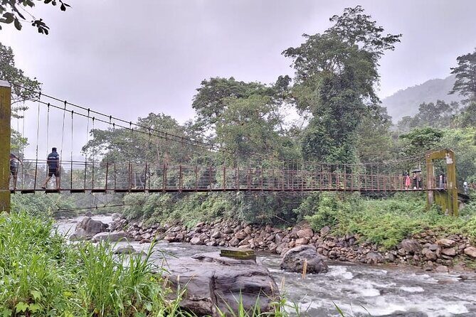 Wild Elephant Anakulam & Waterfalls Tour(munnar valley Trekking) - What’s Included and What’s Not