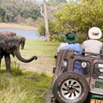 Wild Elephant Safari in Minneriya National Park - The Itinerary in Detail