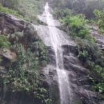 Wild Immersion : Hiking in the Heart of the Tropical Forest - The Support and Logistics