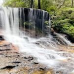Wild Kangaroos, Blue Mountains and a Cruise - Value for Money and Overall Impression