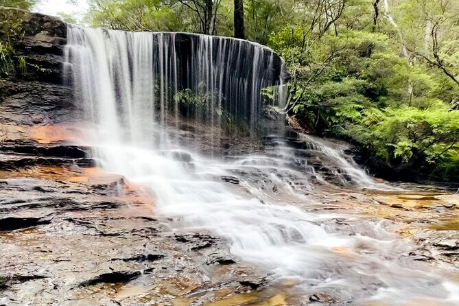 Wild Kangaroos, Blue Mountains and a Cruise - Value for Money and Overall Impression