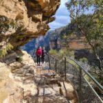 Wild Kangaroos & Blue Mountains private tour - The Bottom Line