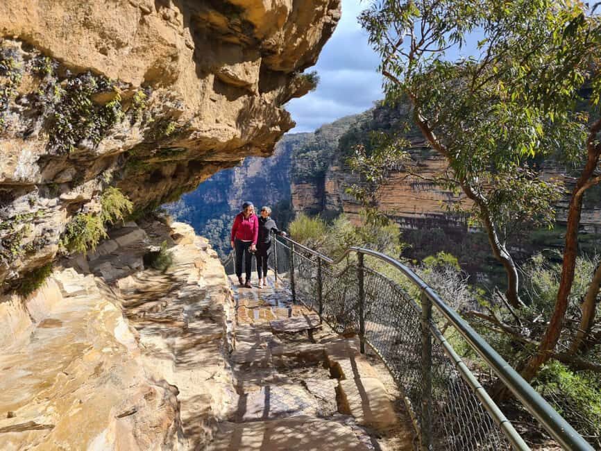 Wild Kangaroos & Blue Mountains private tour - The Bottom Line