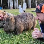 WILD Wombat and Kangaroo Day Tour, All Inclusive - The Experience: What Travelers Are Saying