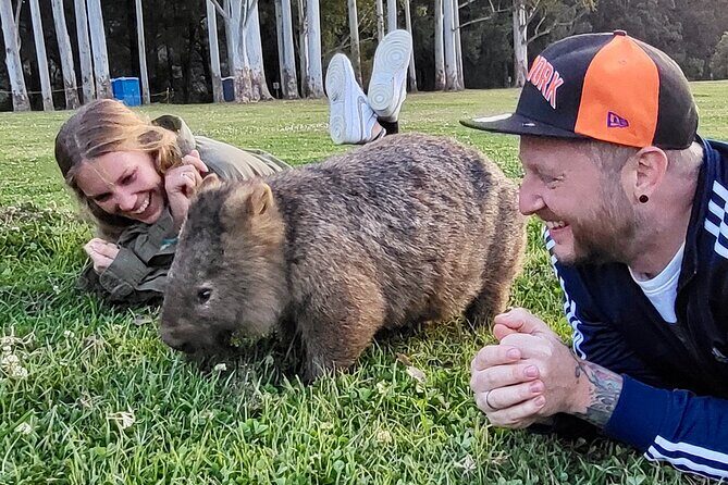 WILD Wombat and Kangaroo Day Tour, All Inclusive - The Experience: What Travelers Are Saying
