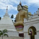 Wild Wonders & Hidden Temples from Hikkaduwa (2 Days) - Who Will Benefit Most?