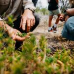 Wild Yarnbala - The Sum Up: A Unique Cultural and Natural Encounter