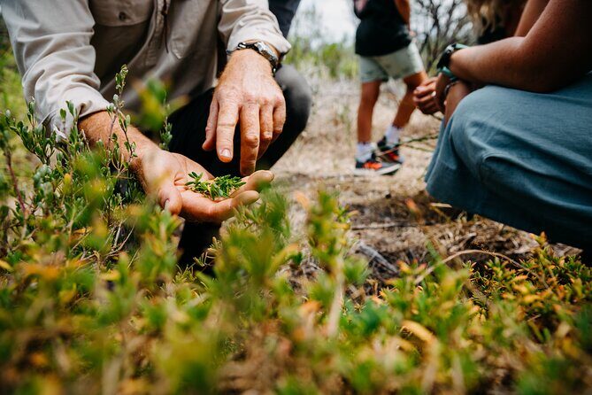 Wild Yarnbala - The Sum Up: A Unique Cultural and Natural Encounter