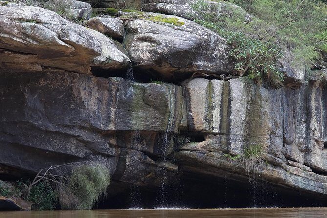 Wilderness kayak adventure with gourmet food - Detailed Breakdowns of the Itinerary