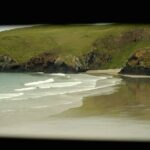 Wildlife and Penguin Tour - Who Should Consider This Tour?