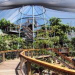 Wildlife Habitat Port Douglas - The Itinerary: What to Expect and Why It Matters