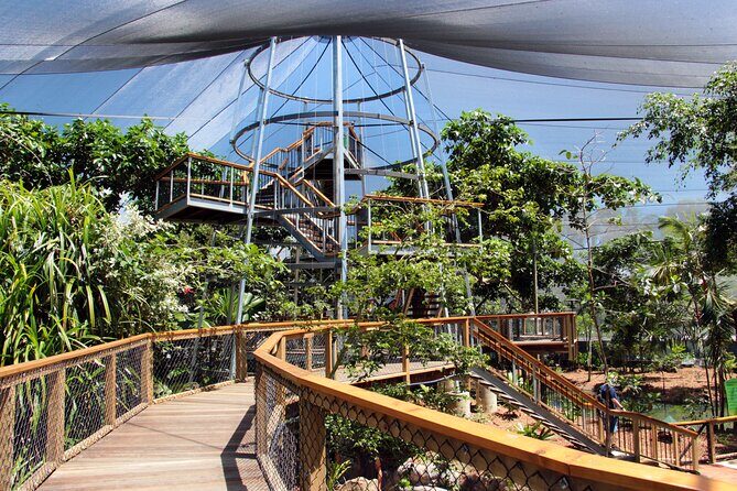 Wildlife Habitat Port Douglas - The Itinerary: What to Expect and Why It Matters