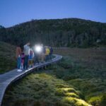 Wildlife Night Spotting at Cradle Mountain - What to Expect and What to Bring