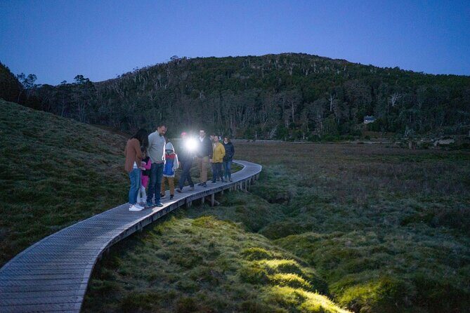 Wildlife Night Spotting at Cradle Mountain - What to Expect and What to Bring