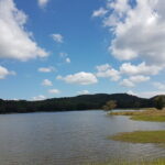 Wildlife Safari at Kaudulla National Park - Who Should Book This Tour?