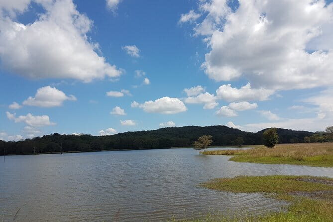 Wildlife Safari at Kaudulla National Park - Who Should Book This Tour?