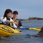 Wildlife Sea Kayaking Tour - Kaikoura - Wildlife Encounters and Scenic Highlights