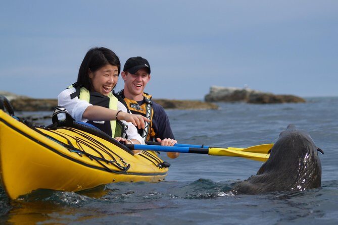 Wildlife Sea Kayaking Tour - Kaikoura - Wildlife Encounters and Scenic Highlights
