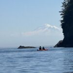 Wildlife Spotting Kayak Adventure on Orcas Island - Introduction to the Orcas Island Kayak Wildlife Tour