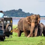 Wildlife Sri Lanka Tour 10 Days - Who Should Consider This Tour?