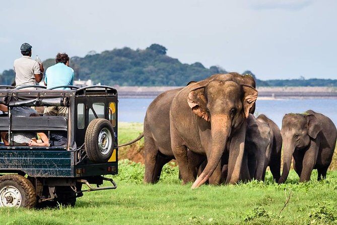 Wildlife Sri Lanka Tour 10 Days - Who Should Consider This Tour?