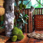 Wildlife Tour A Journey Through 3 Sanctuaries - Day 3: Return Journey and Final Night Relaxation